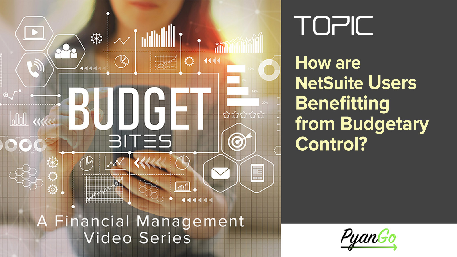 How are NetSuite Customers Benefitting from a Budgetary Control ...