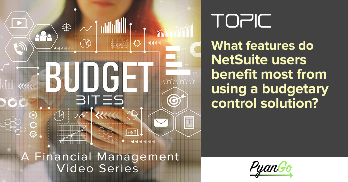 Automating Budgetary Control? Here are the Most Important Features | PyanGo
